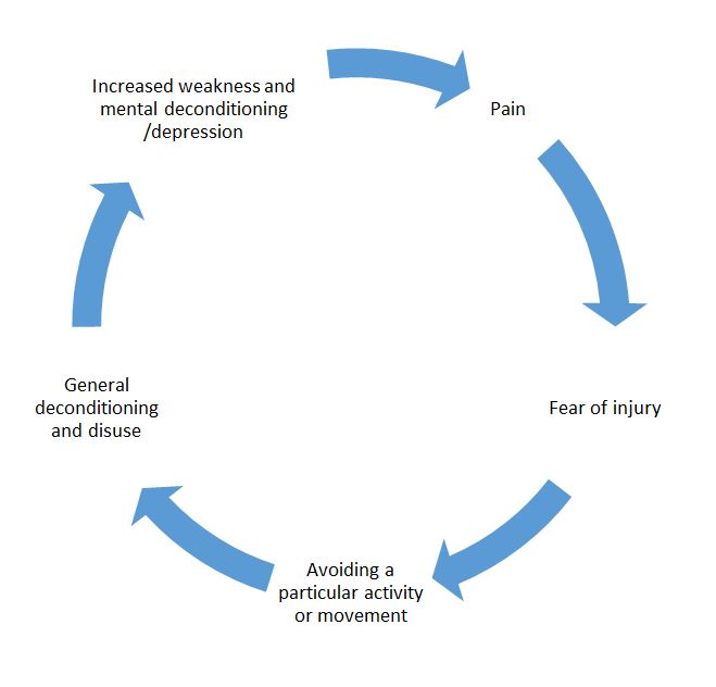 Blog | Inner North Osteopathy Brunswick | At Inner North Osteopathy we ...